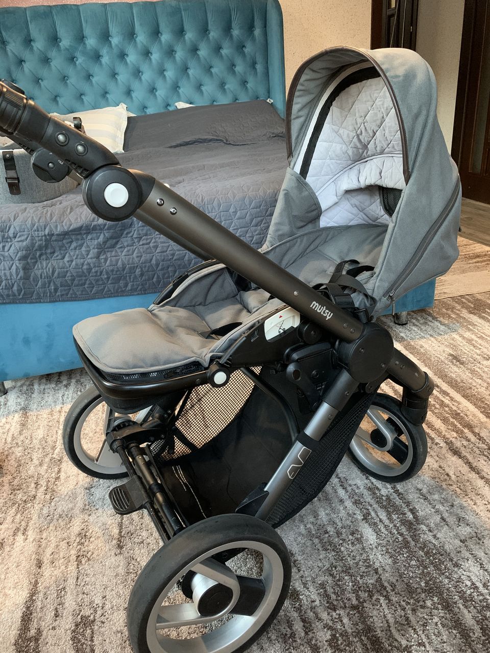Carucior Mutsy Evo