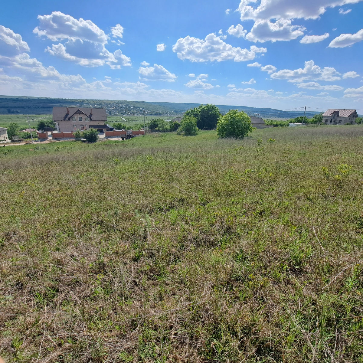 Teren Pașcani ( Magdacesti) 15 ari