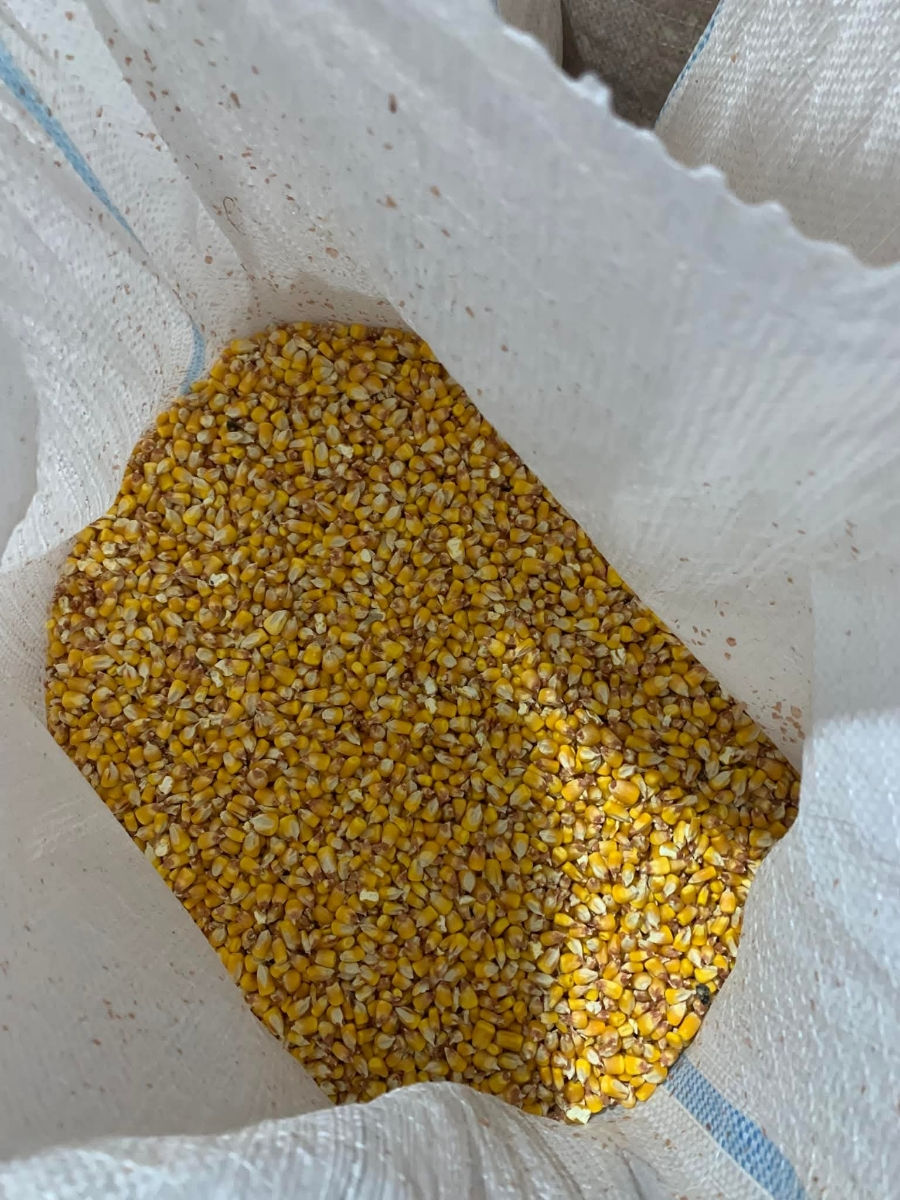 Vind porumb in saci a cite 40kg