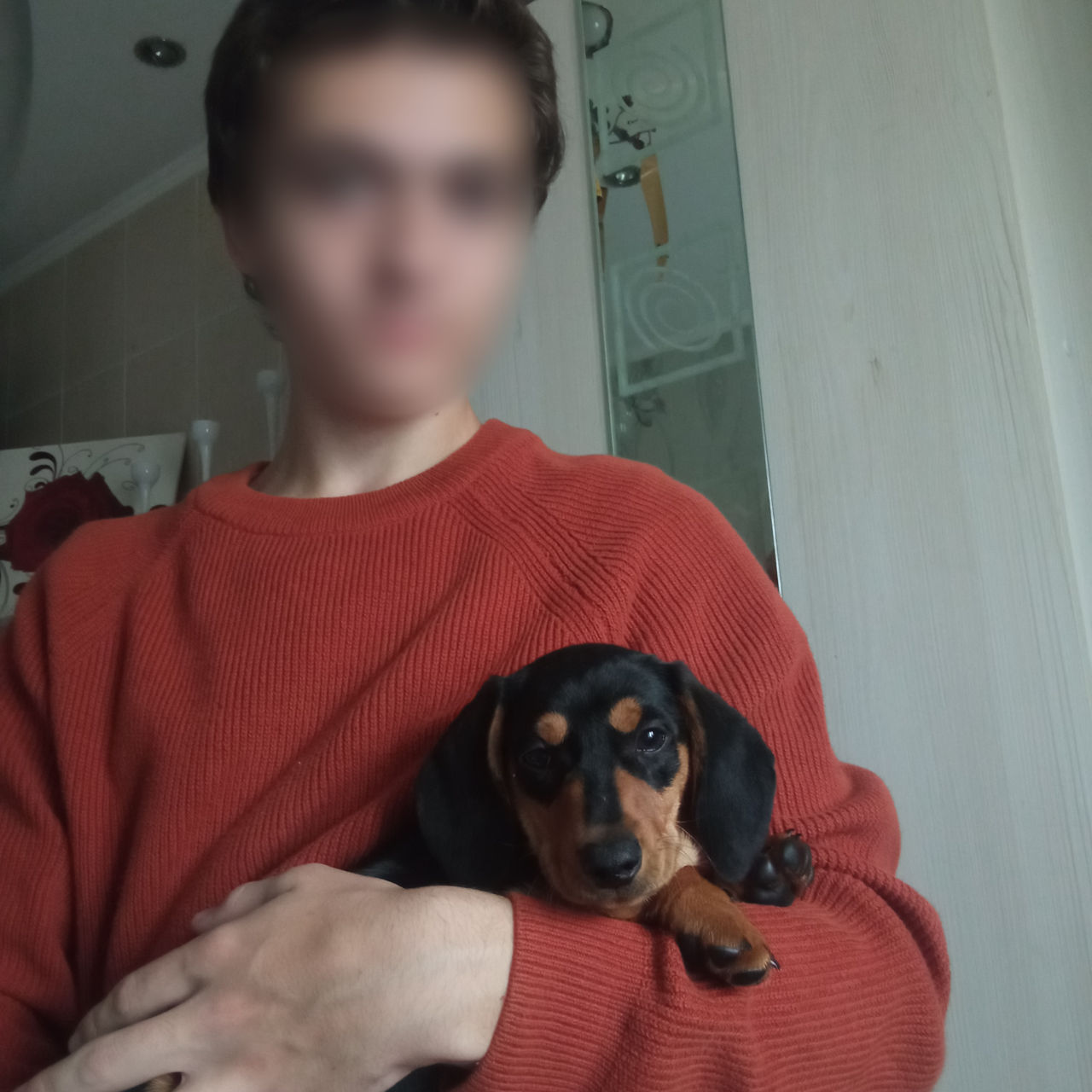 Продам Собаку Такса
