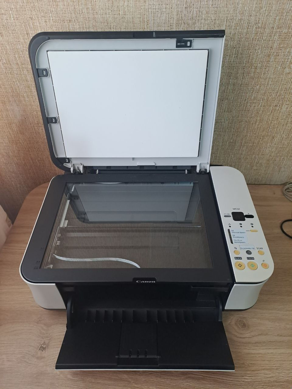 Canon Pixma MP250 + Чернила.