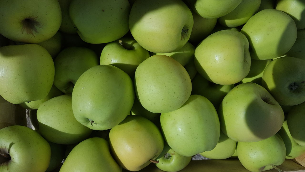 Mere Red chief Cempion Idared,Jonagold