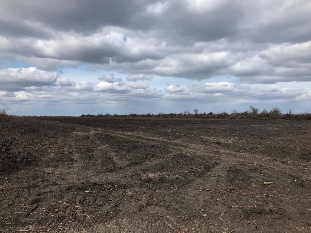 Defrisare / Раскорчевка / Корчёвка