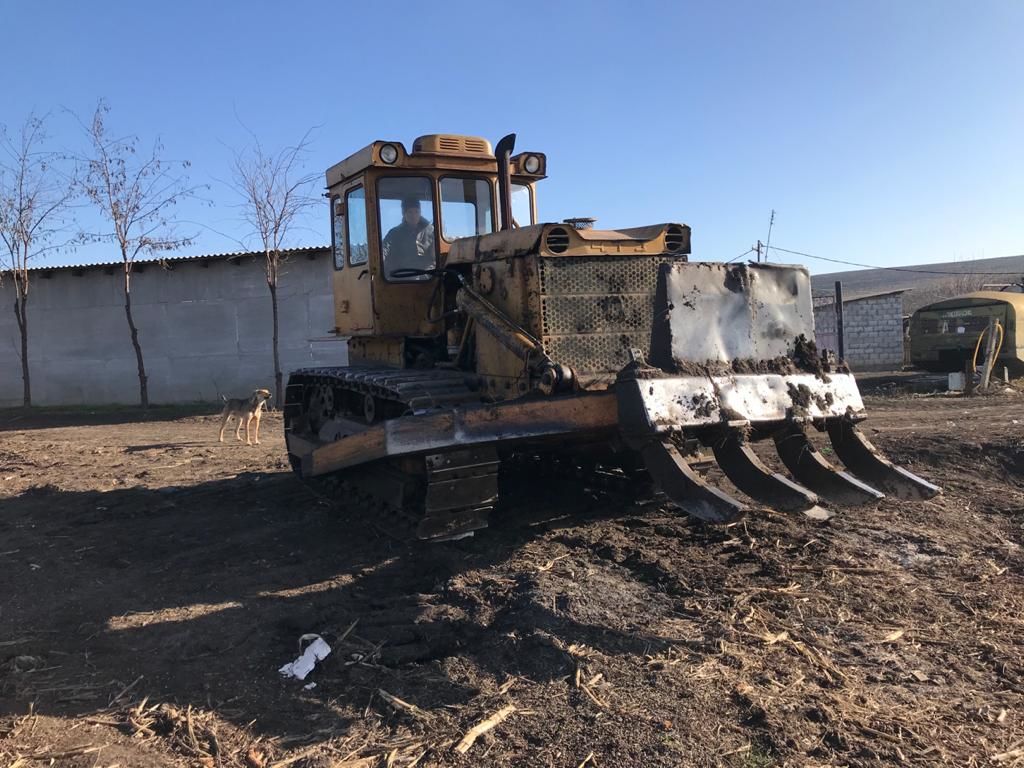 Корчевка / Defrisare