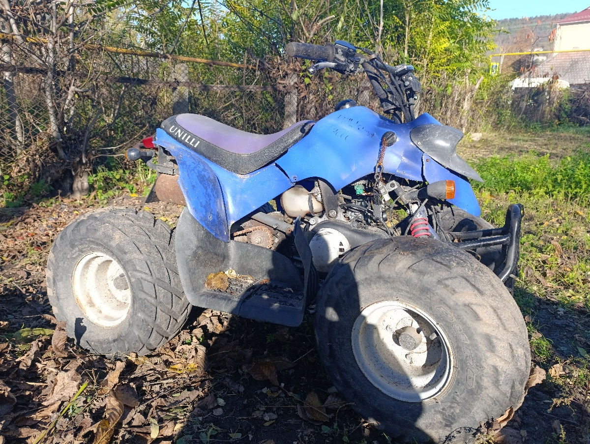 Altă marcă Quad an. 2006 cu rulaj 2000 mi, 3500 MDL