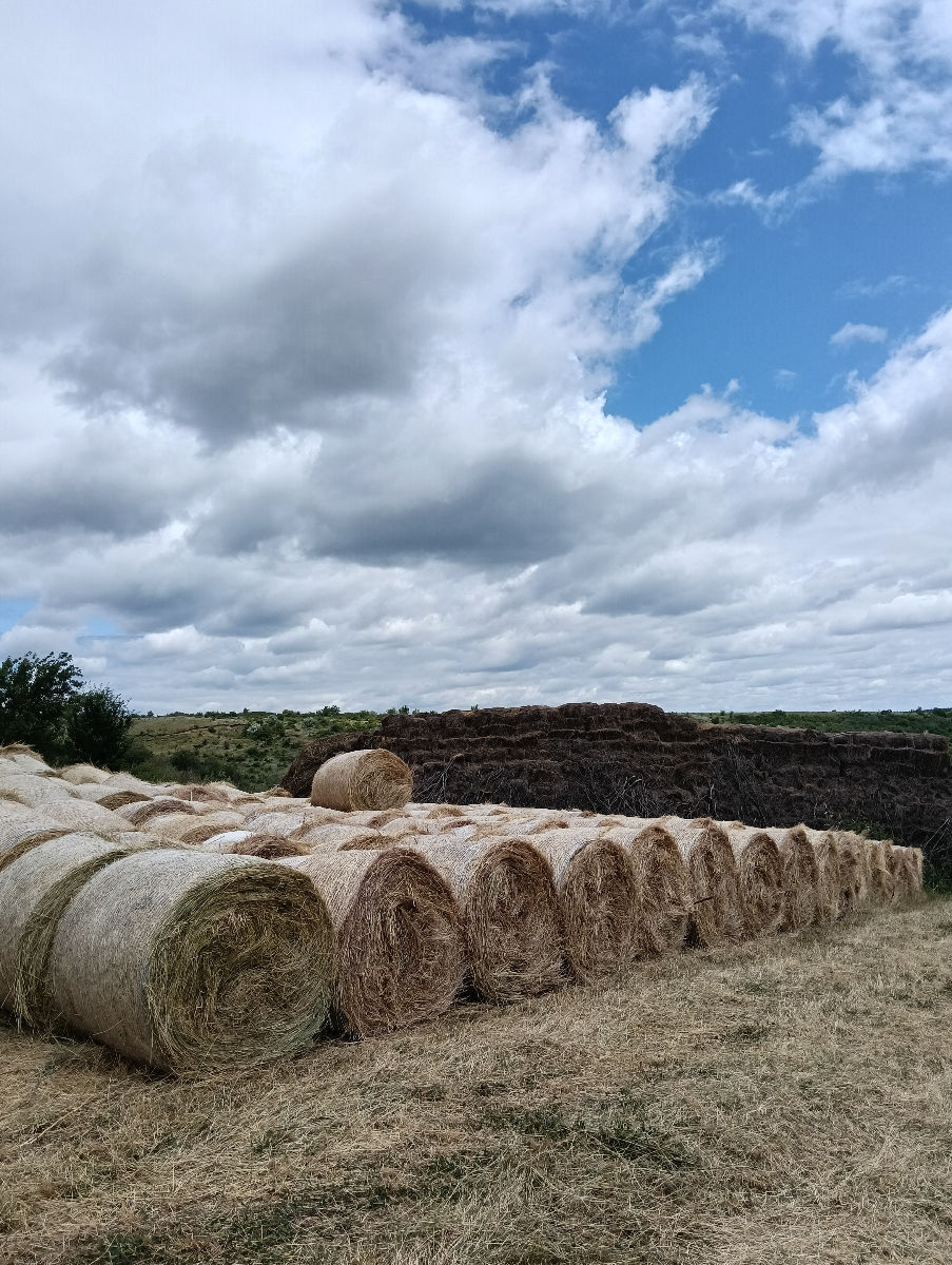 Baloti de fin, calitate superioara