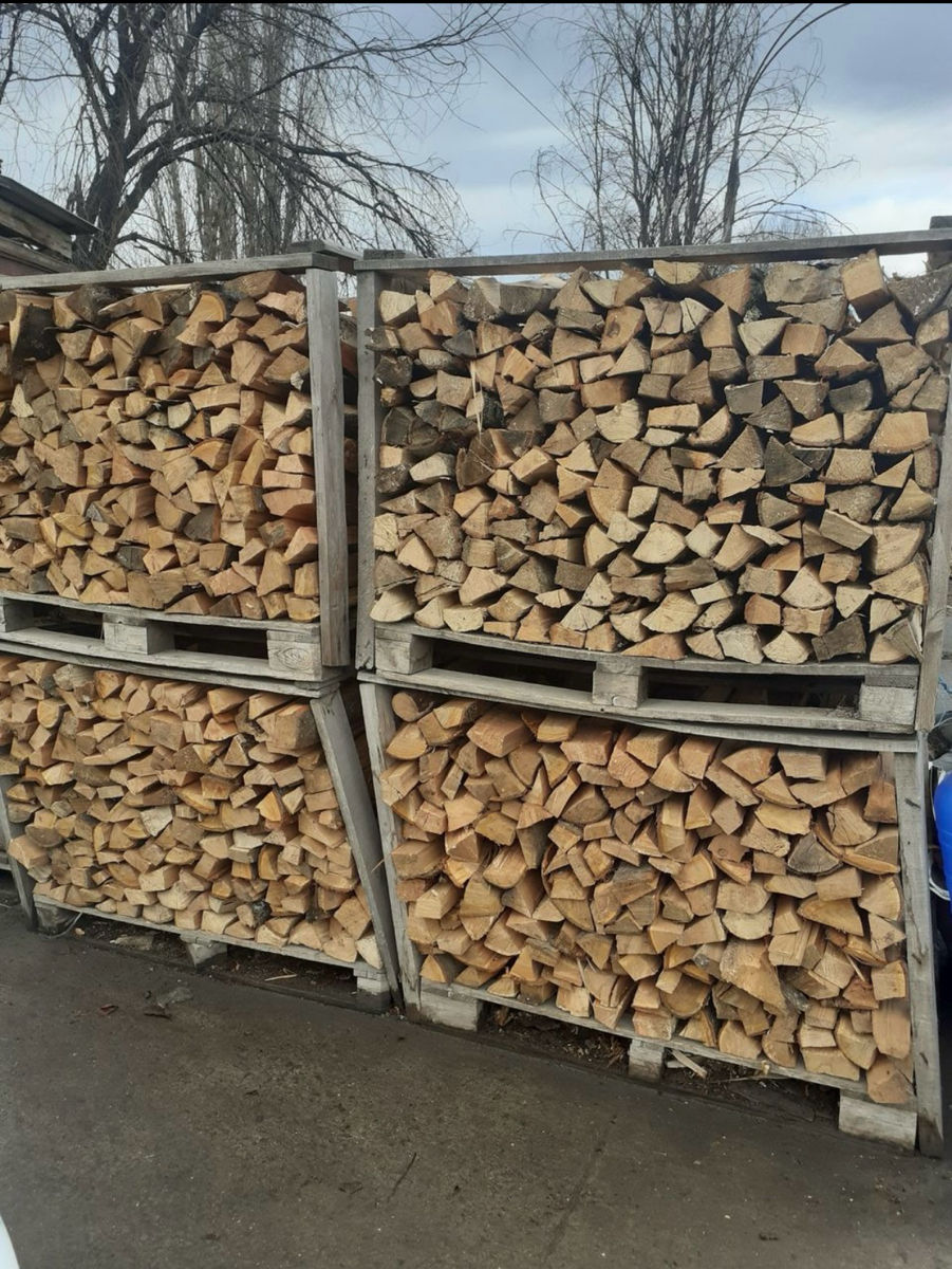 Lemne de foc , doar specii tari