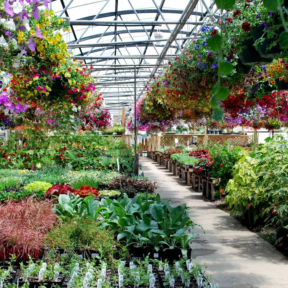 Substrat pentru flori si plantele decorative .Торф для цветов . Pământ ...