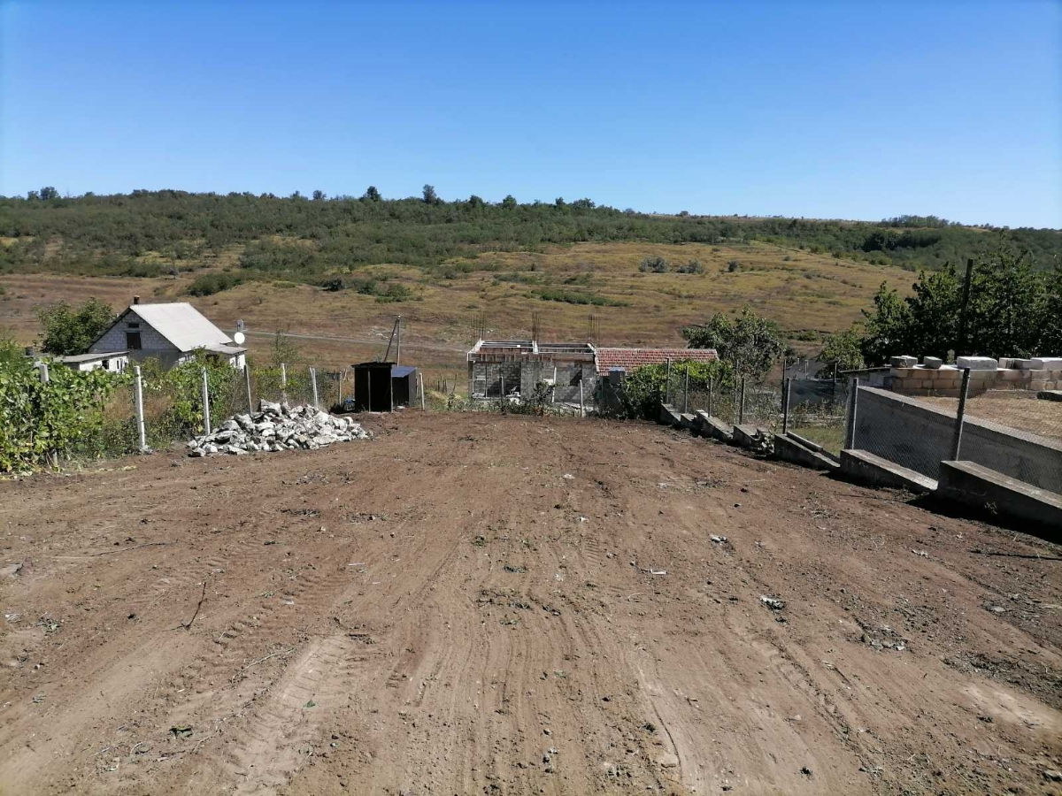 Servicii de defrisare