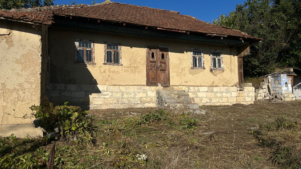 11 ari pentru constructie