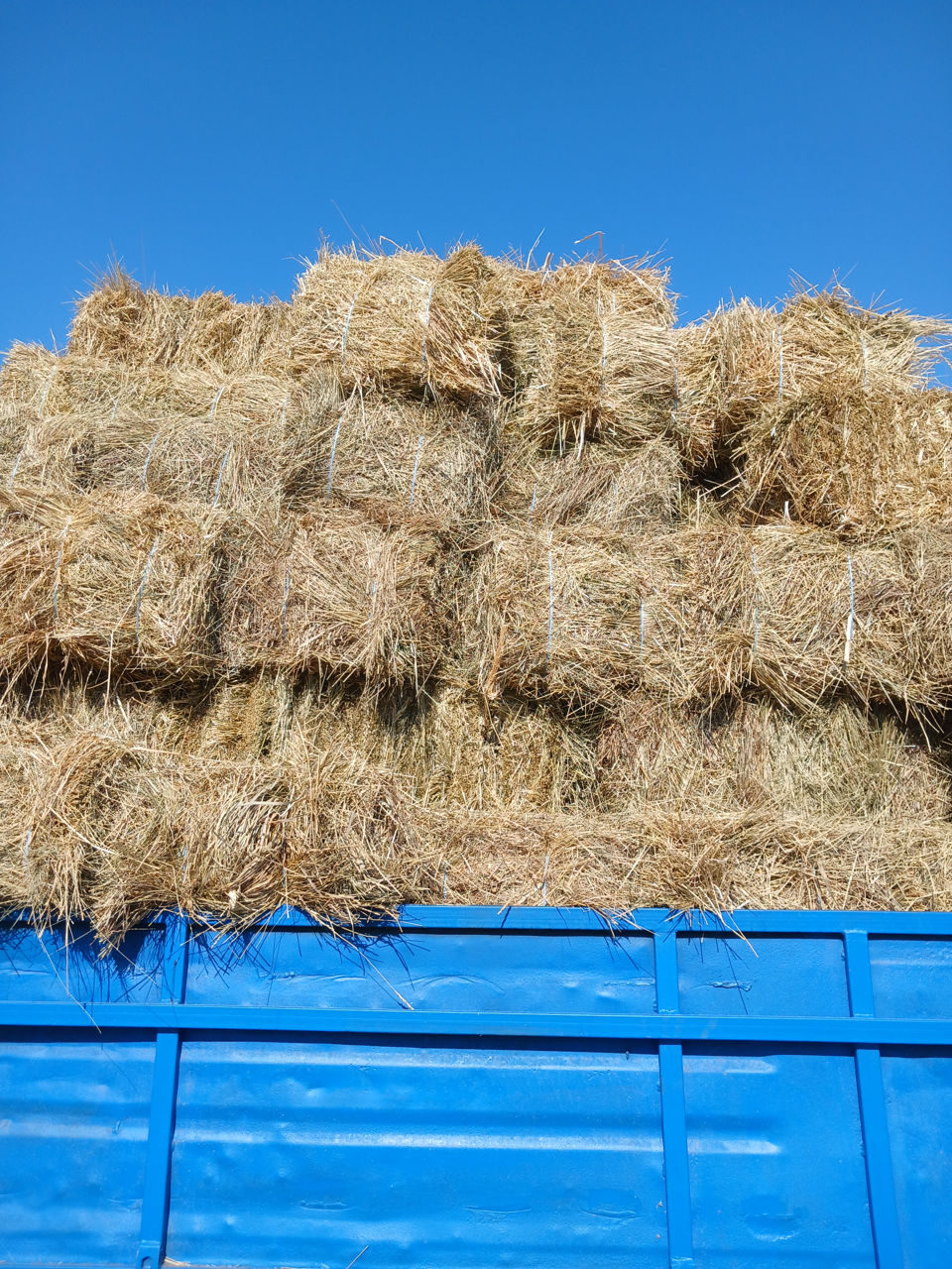 Vind 100 baloti de fin