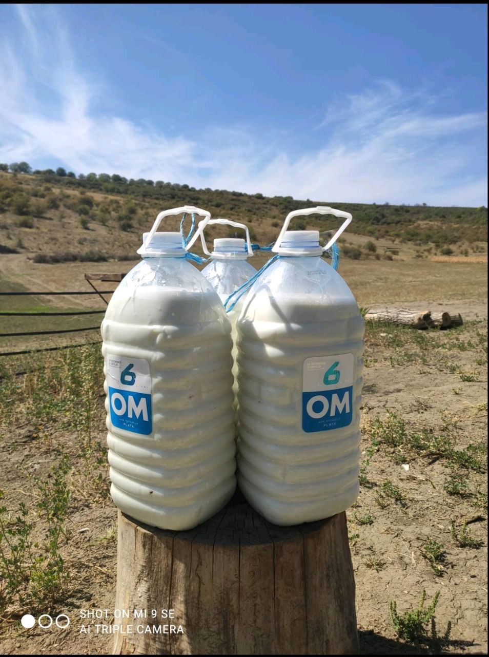 Lapte de caprite natural 100 %