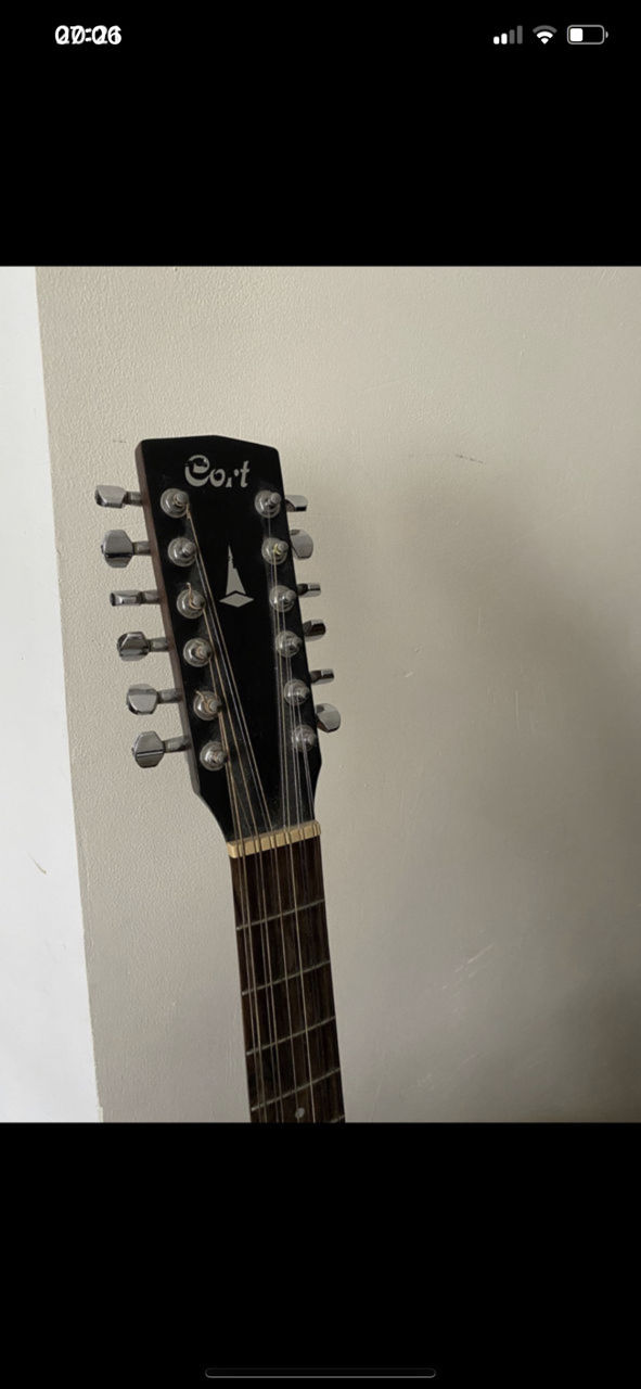 12 strings cort