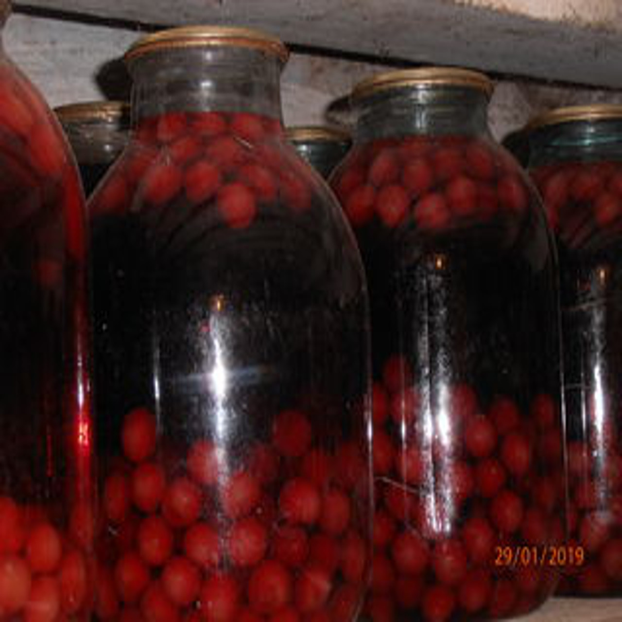 Compoturi din visina-70 lei borc-3 lit