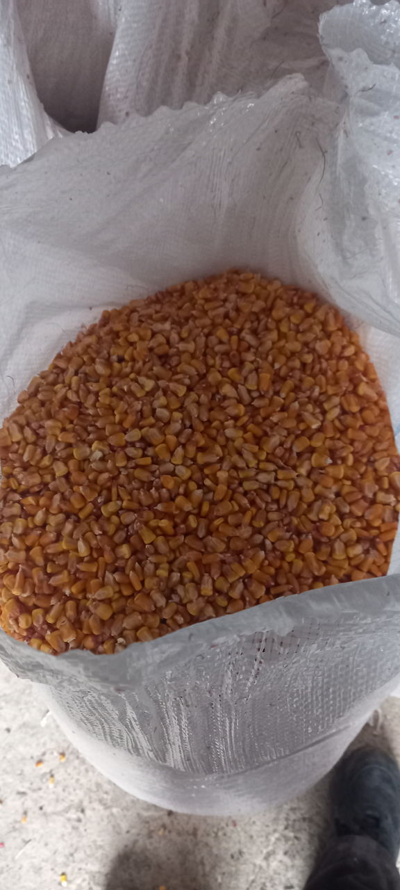 Graunte acum batute din ciocalau