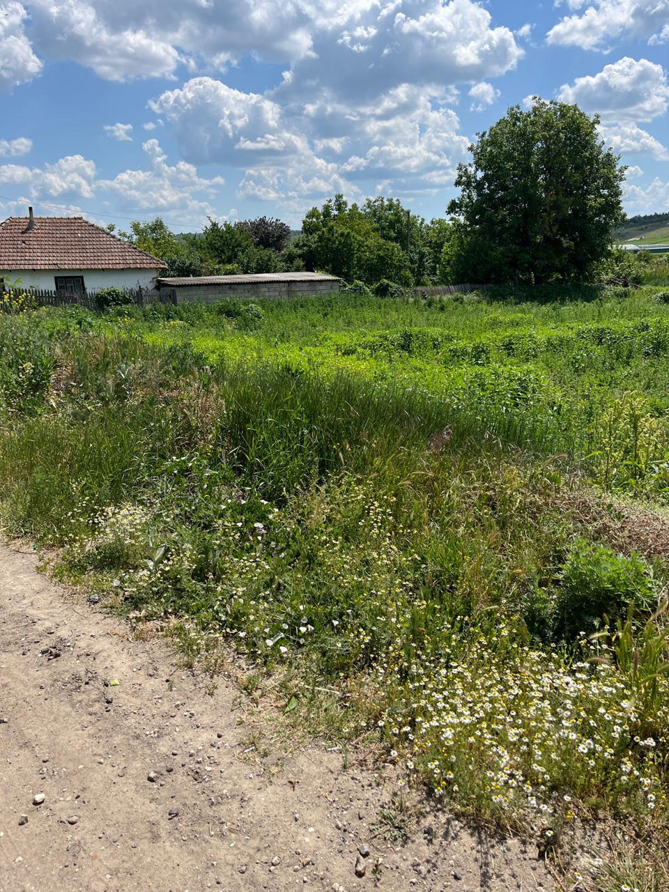 Teren spre vânzare 15 ari în Bacioi