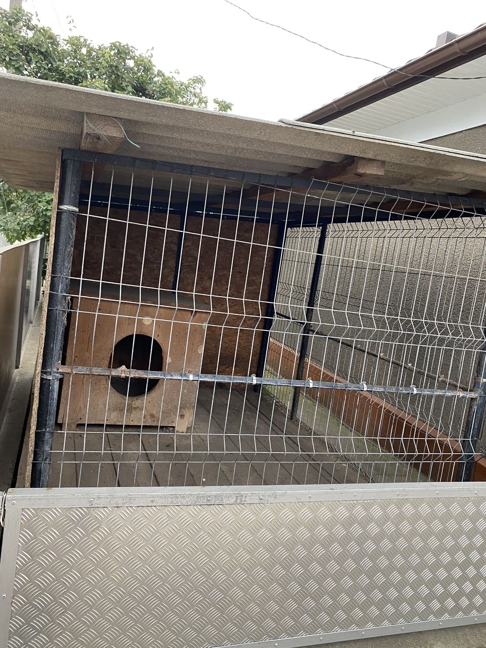 Volier pentru cîine