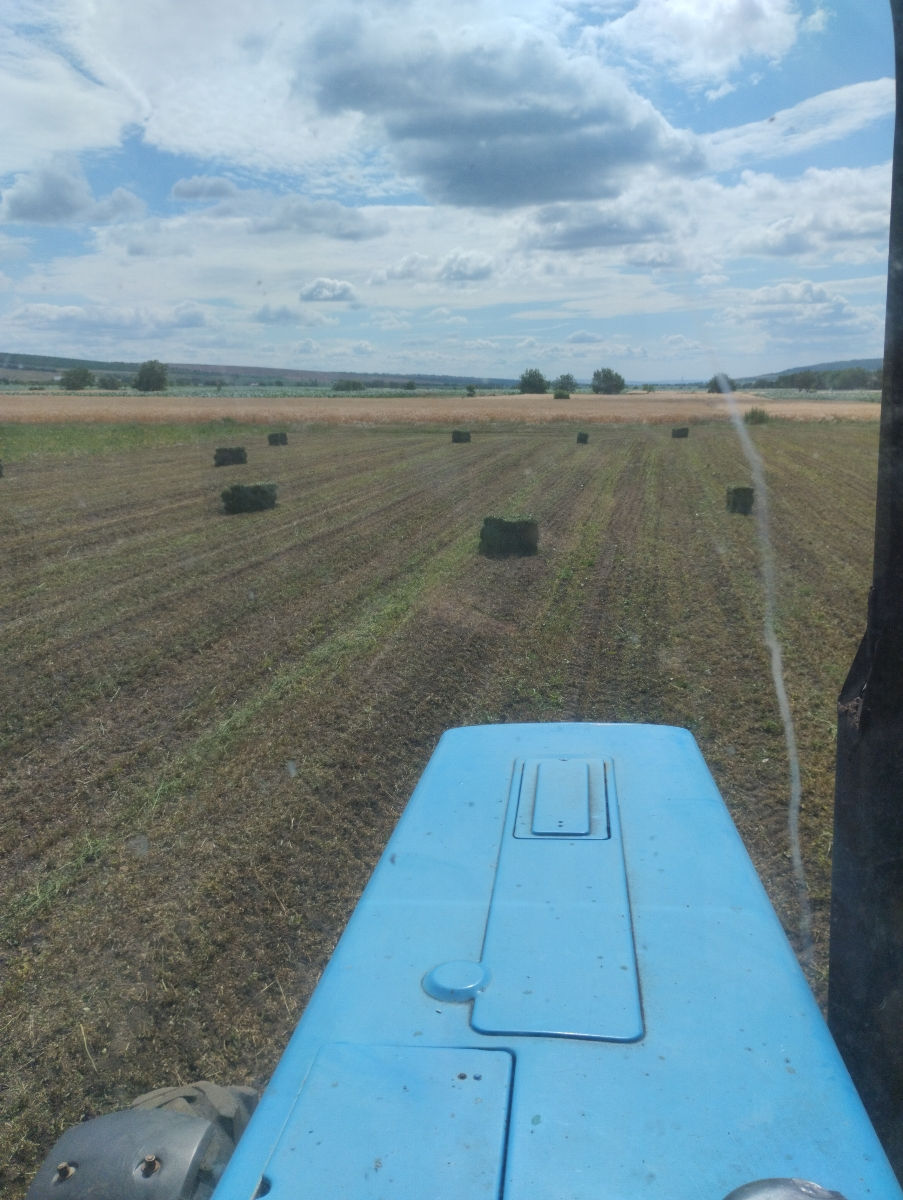 Baloți de Lucerna fin paie