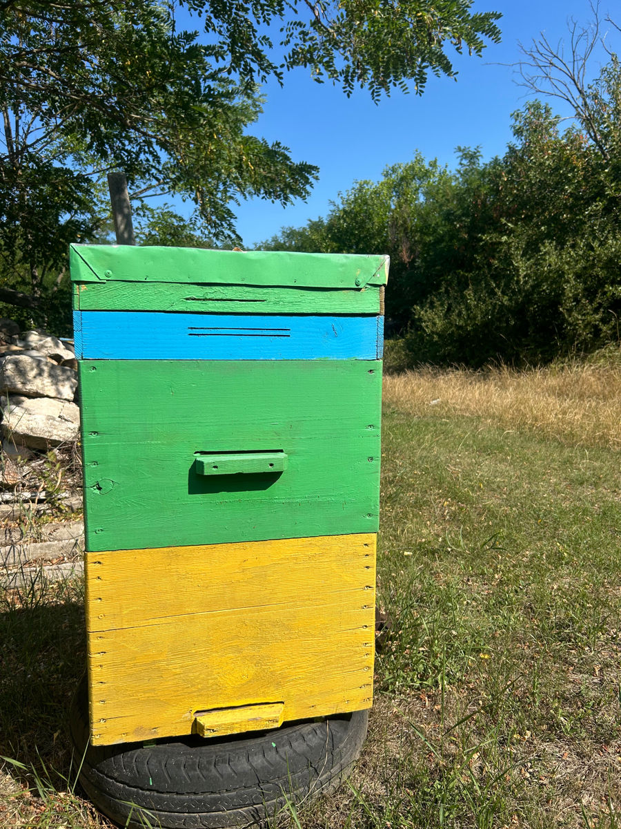 Se vind stupi de 24 rame.