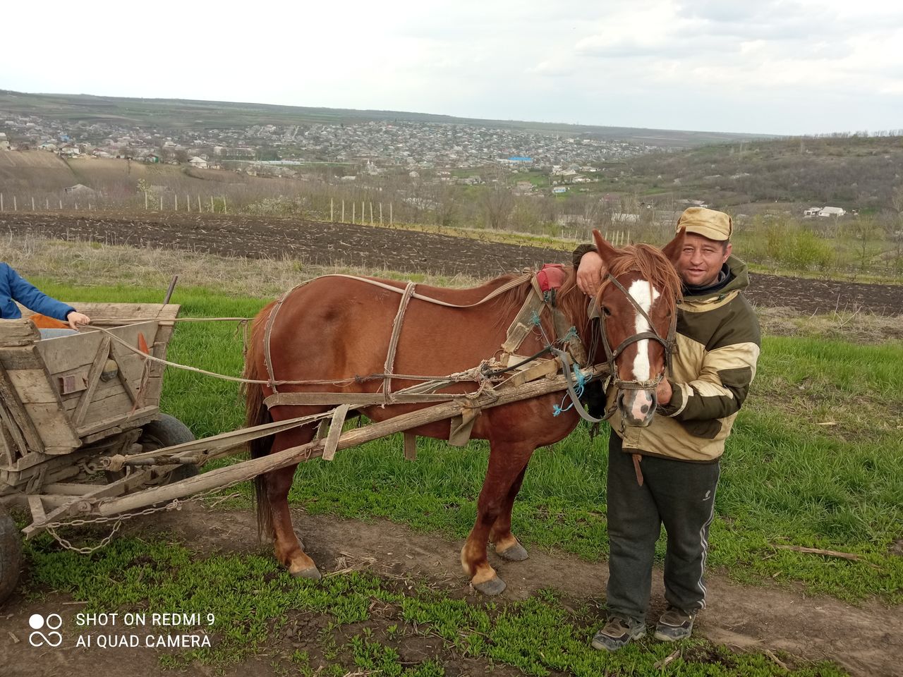 Vind cal tot cu caruta