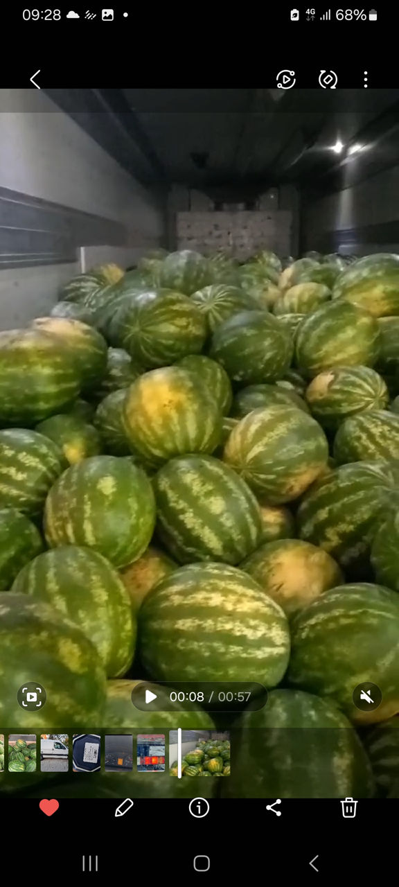 Cumpar pepene verde 22t