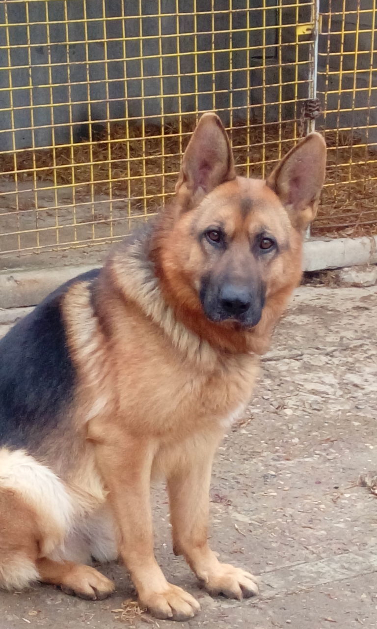 vind schimb imperechere