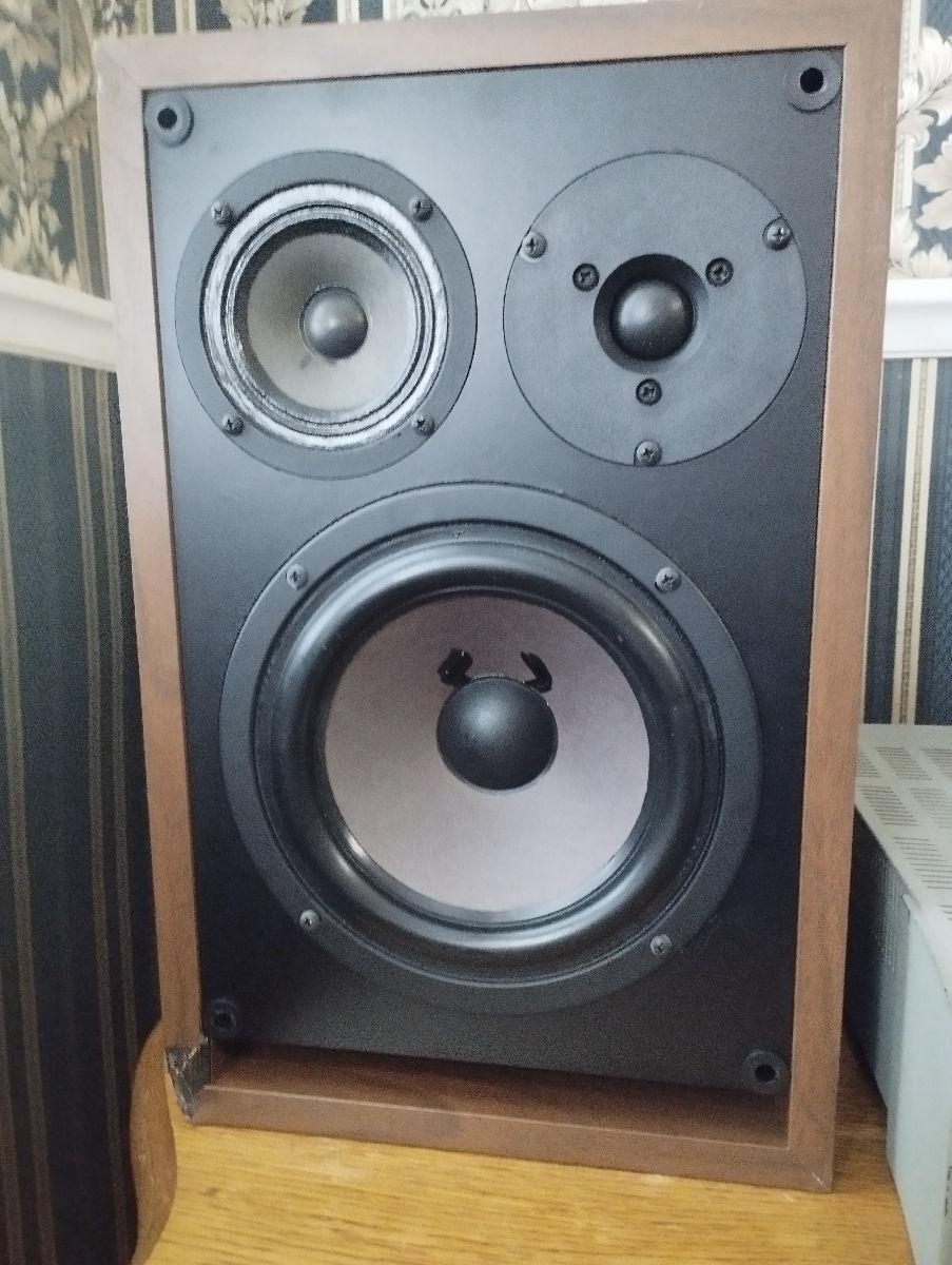 Arcus TS15 по цене динамиков