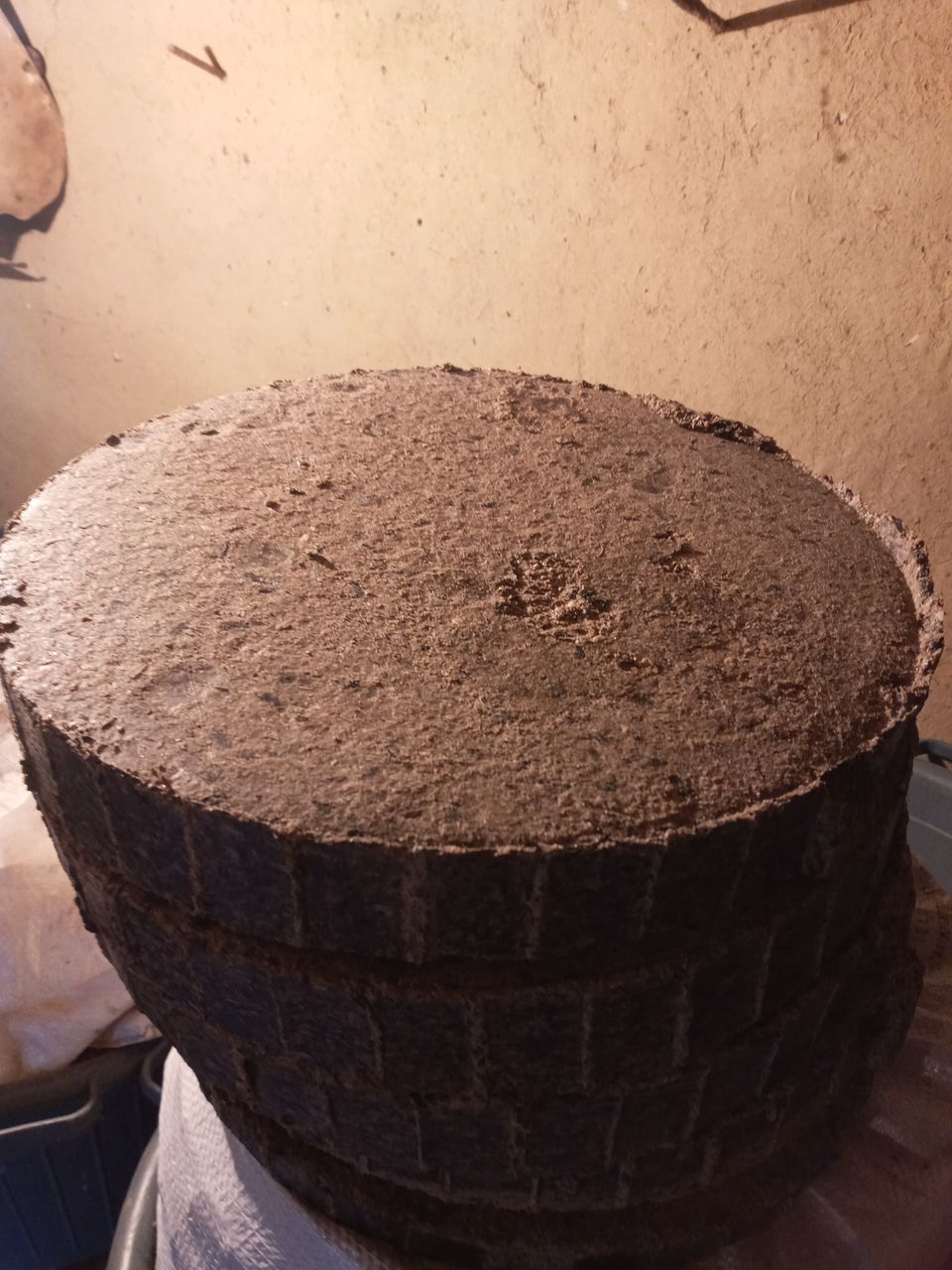 Macuc roti prajit floarea soarelui