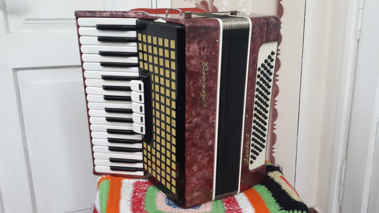 Acordeon Accord 80 basi in stare super!