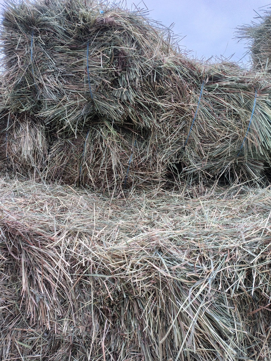 Vind baloți de iarba lucerna 068536050