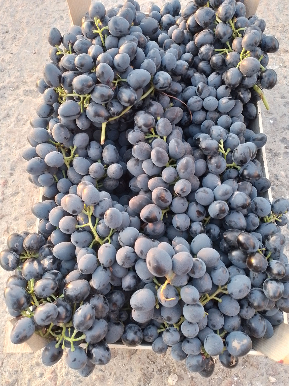 Poama Moldova de masa la lada la bus