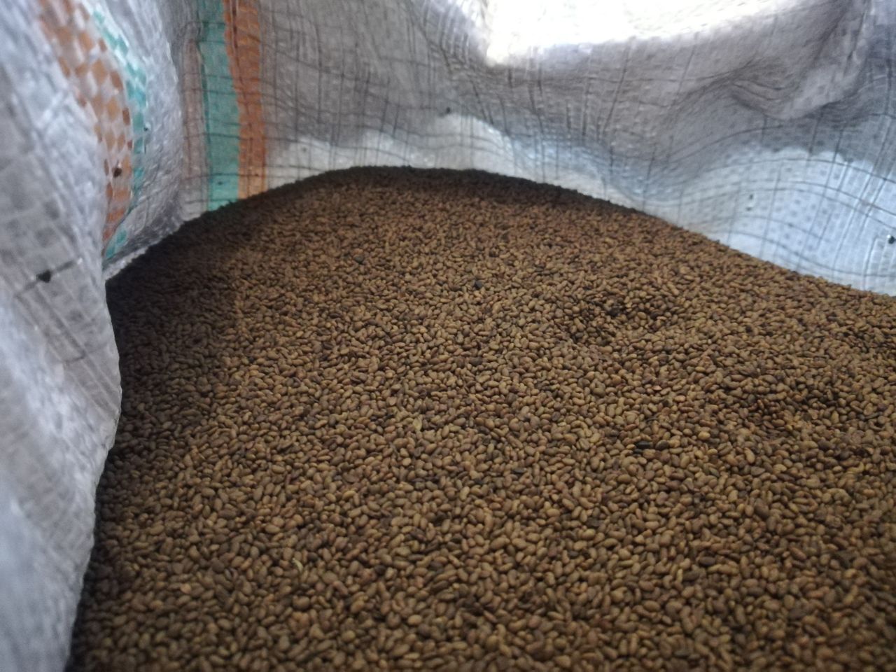 samanta de lucerna/livrare gratuita