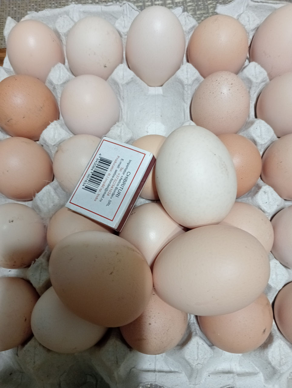 Oua de gaina pentru incubație