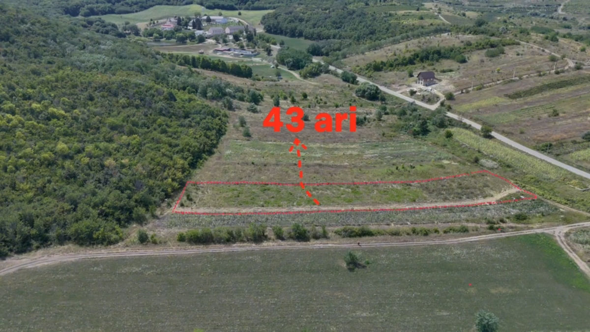 Teren pentru construcții 43 ari!