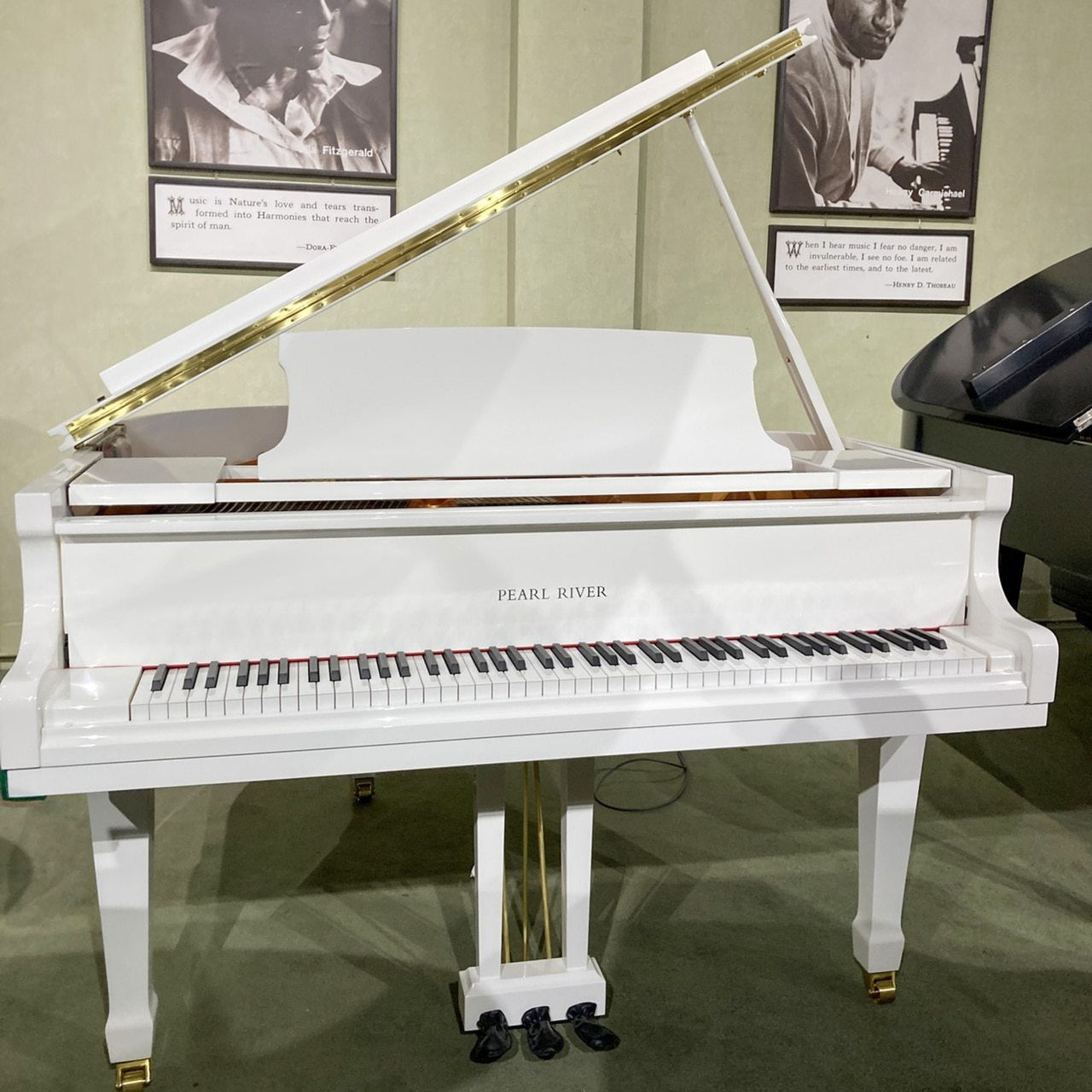 Pian cu coada eficient si calitativ