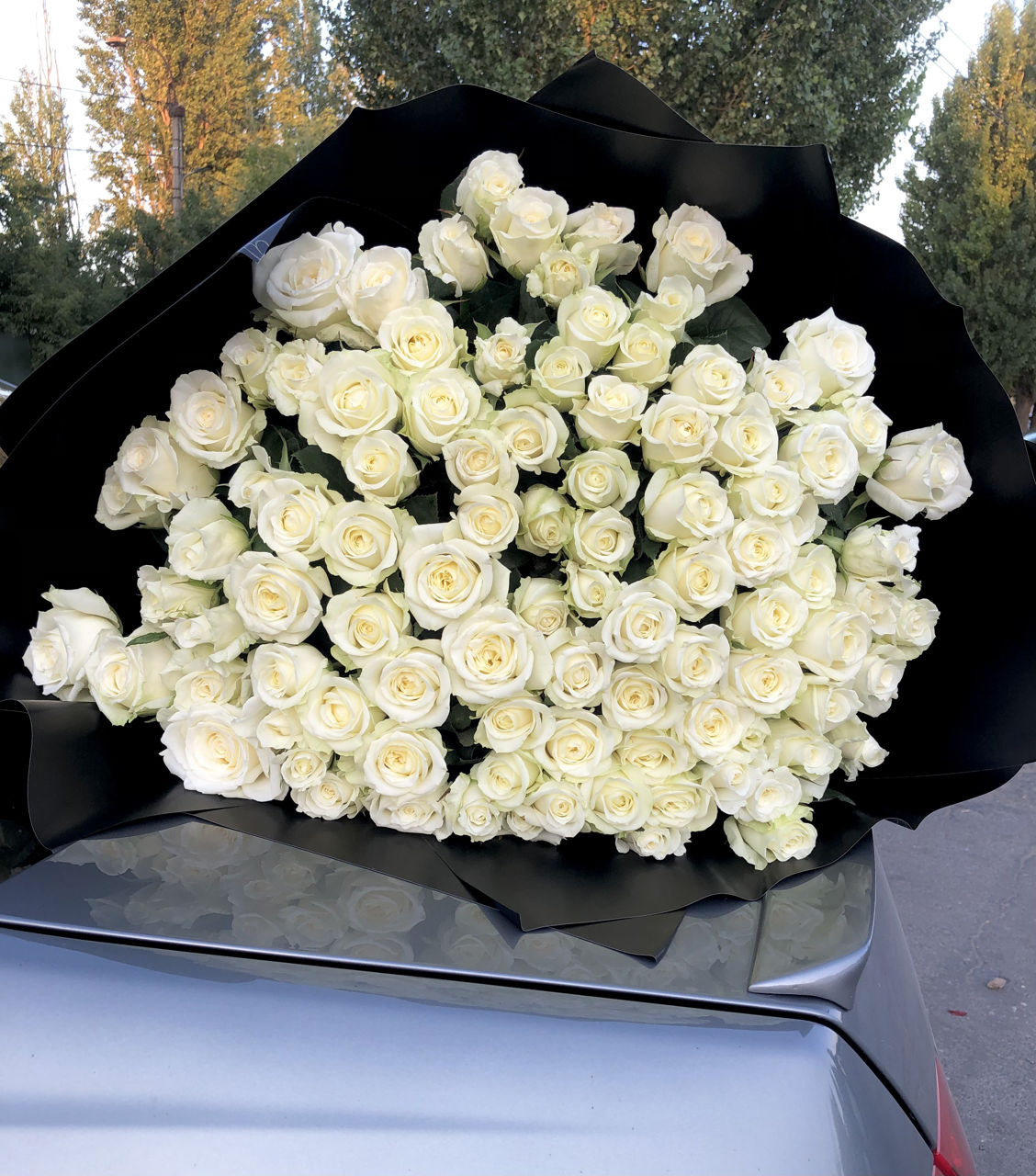 Flori / trandafiri albi