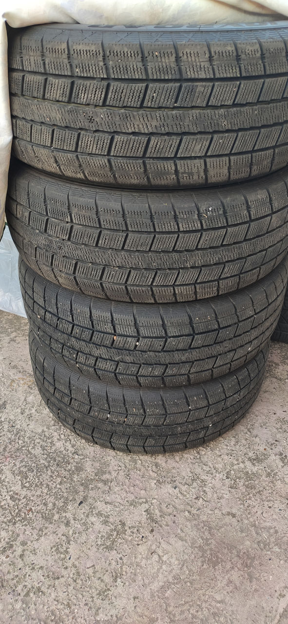 Joyroad Winter RX821 225/55/17