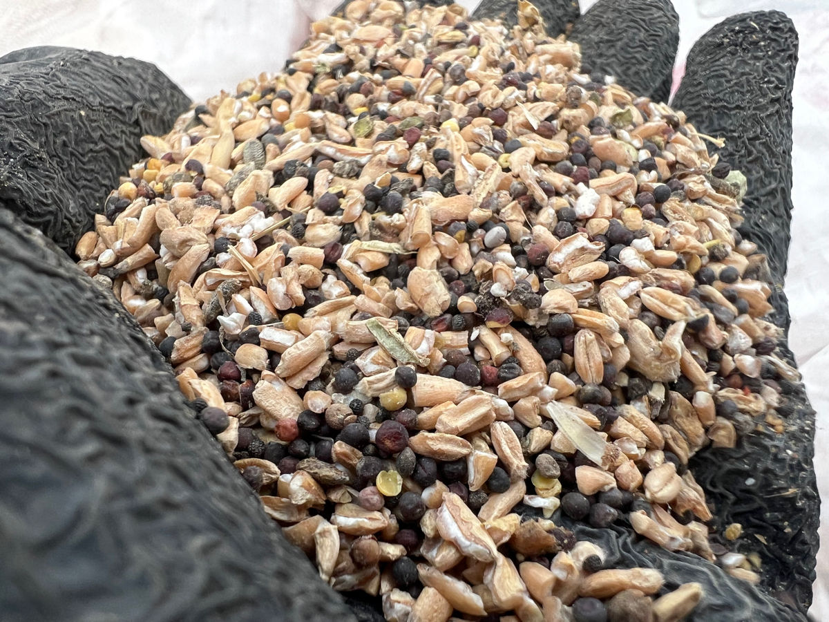 Hrana pentru animale, păsări