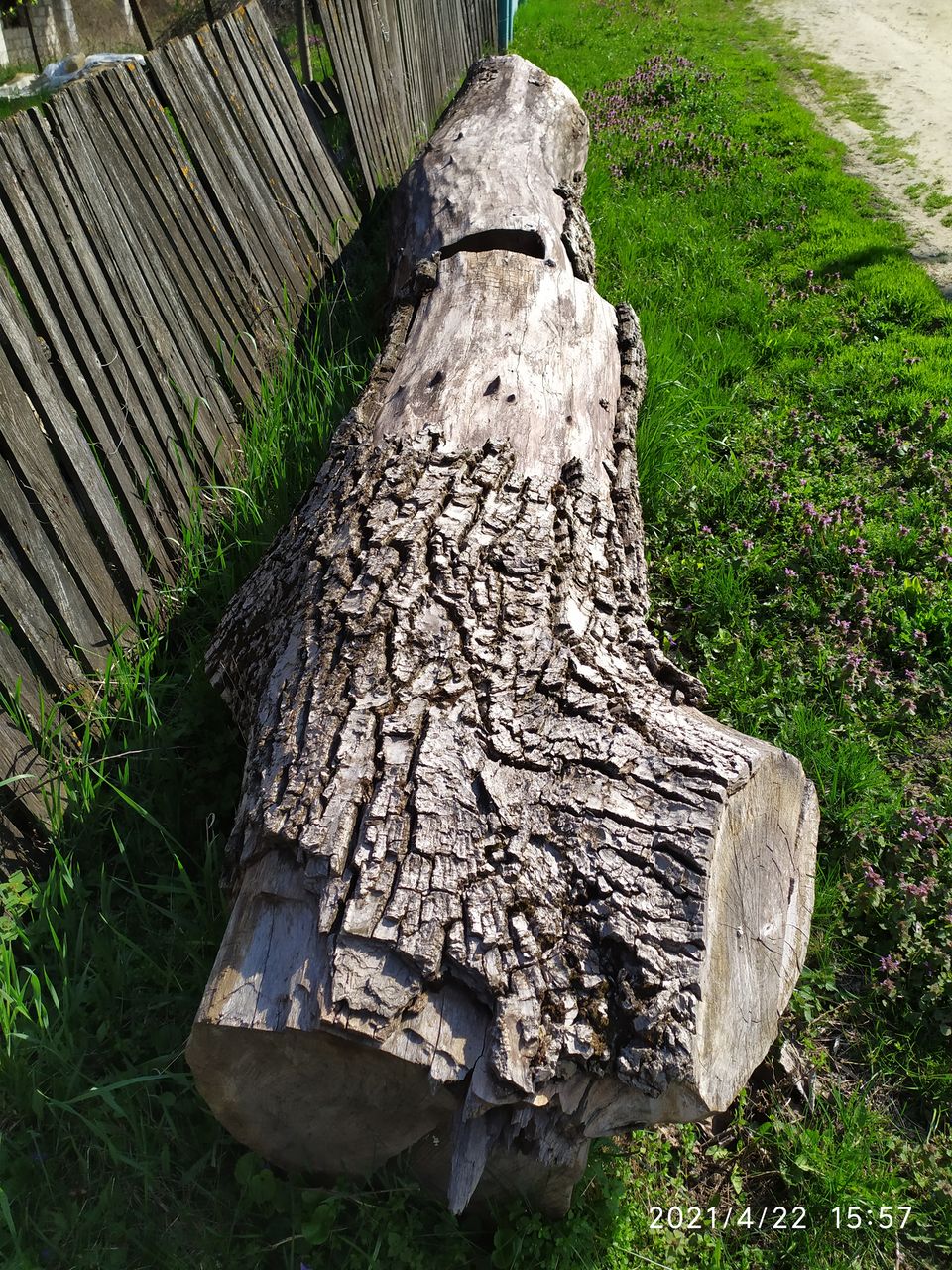 Бревна из ореха / Buturuga de nuc 4-5 cuburi