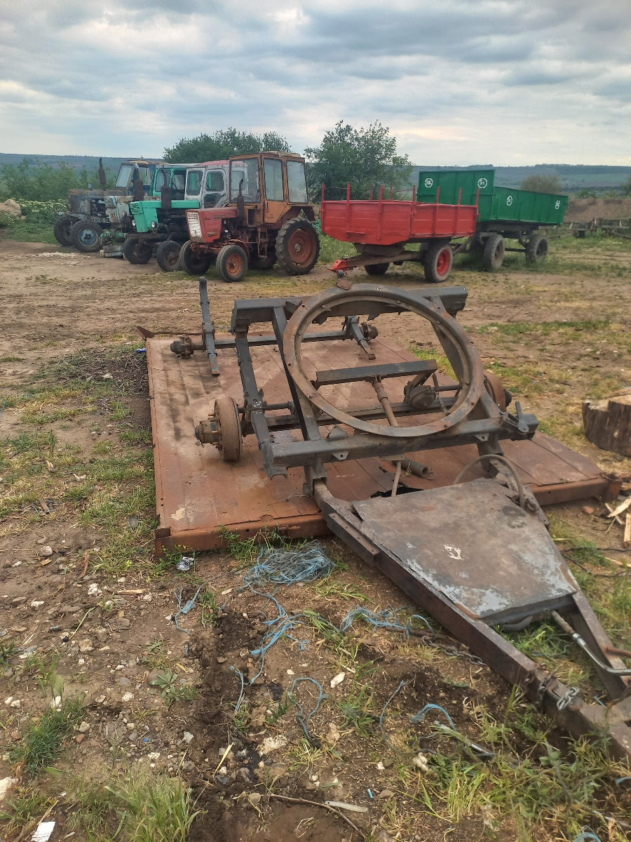 Zapciasti di toati felurili sunat si intrebaț