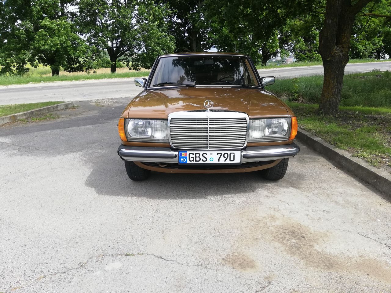 Mercedes Series (W123)