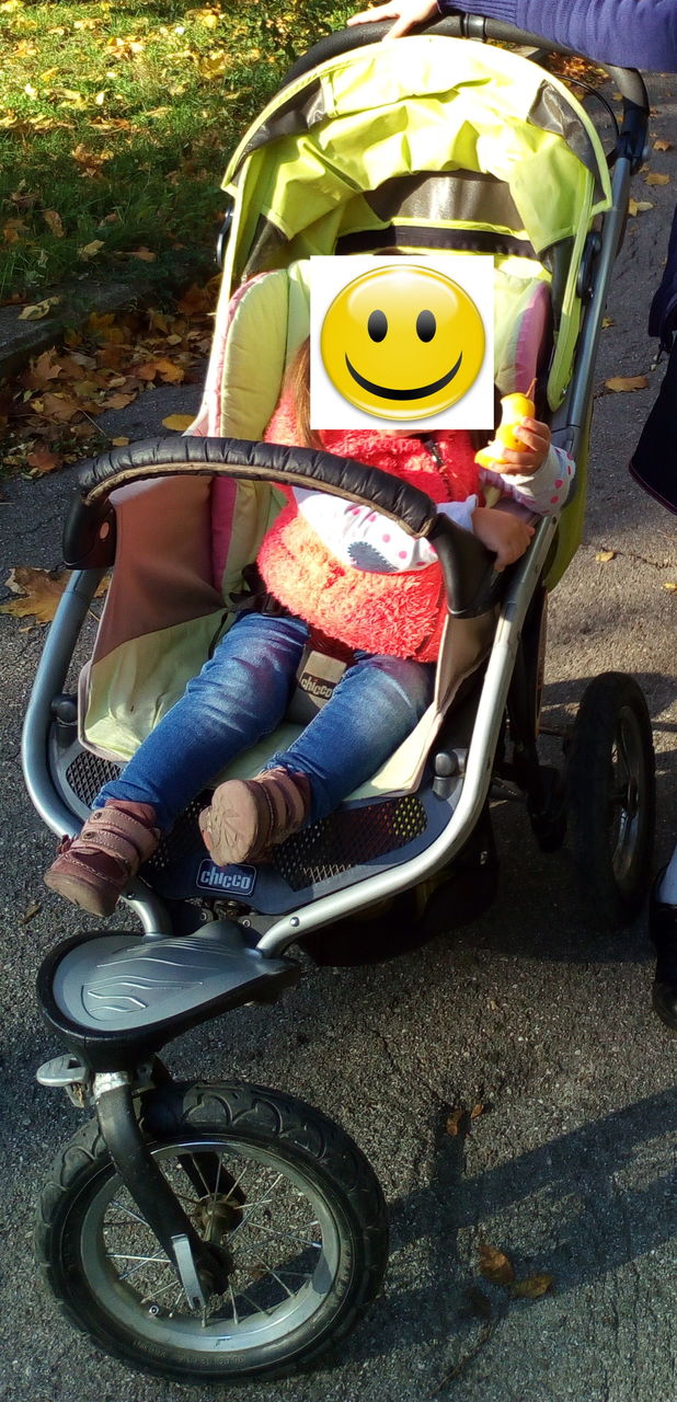 Трехколесная коляска Chicco Trio S3 3 в 1