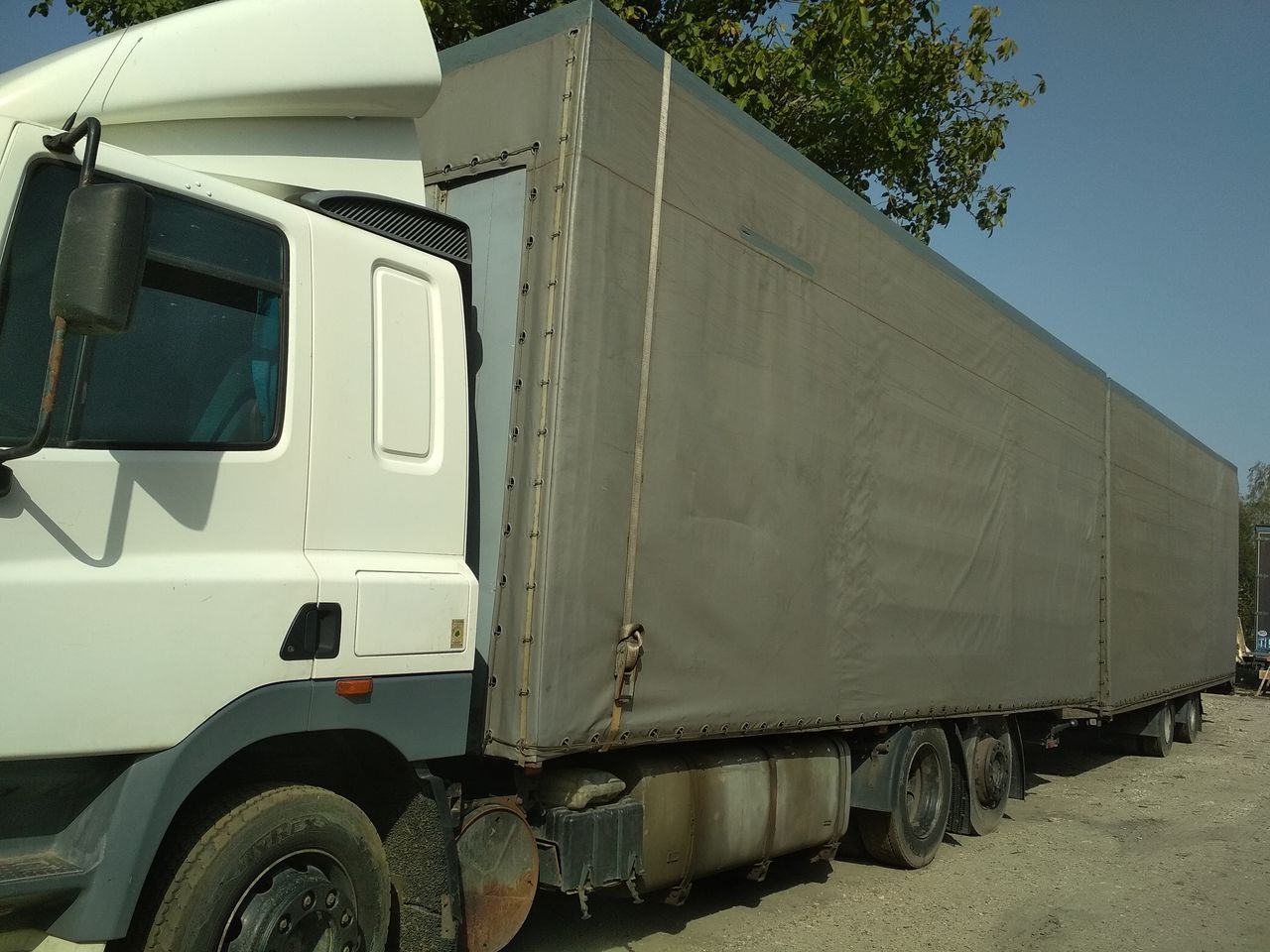 Daf CF