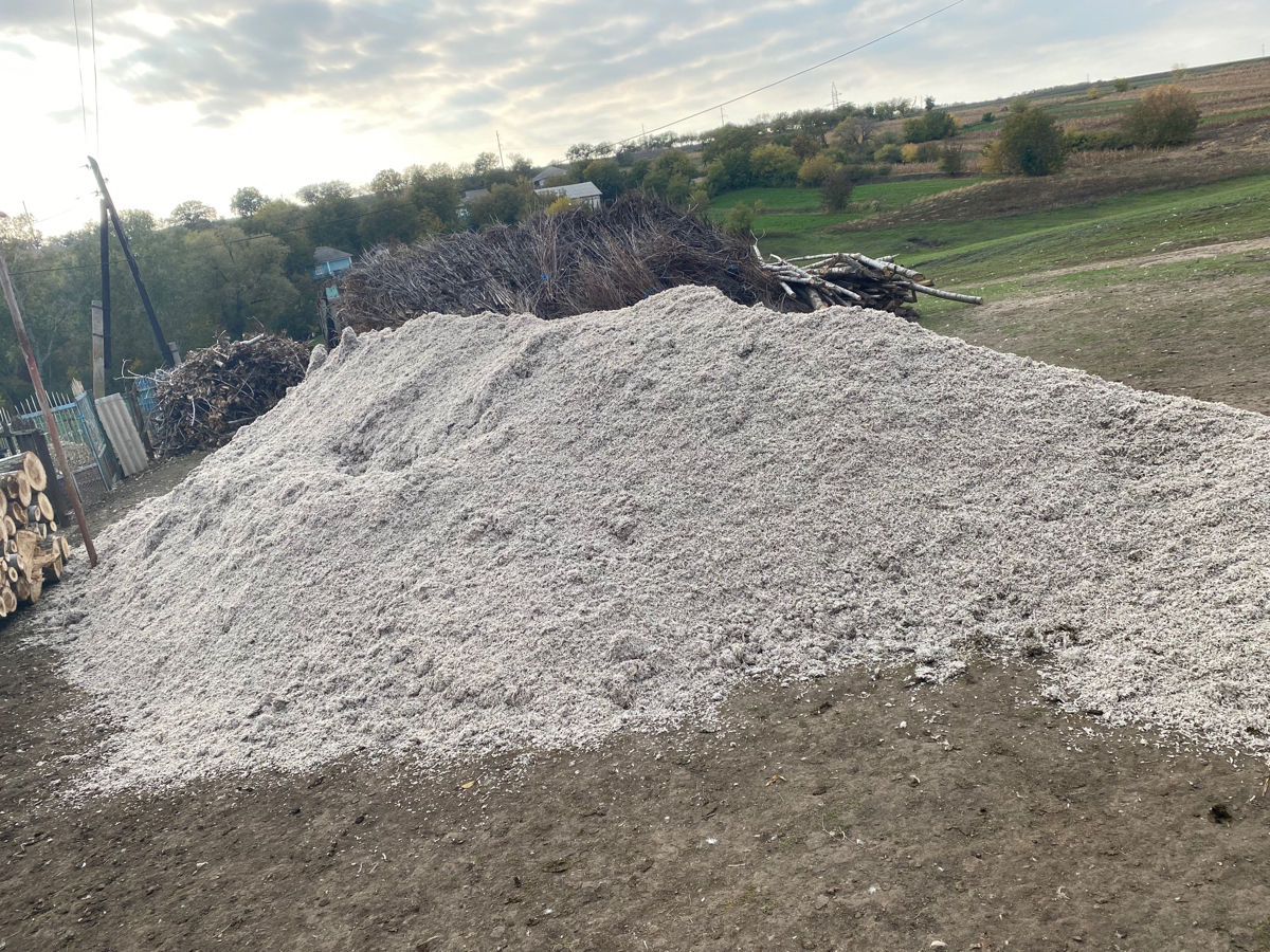 Жом из свеклы или яблок на заказ доставка на дом