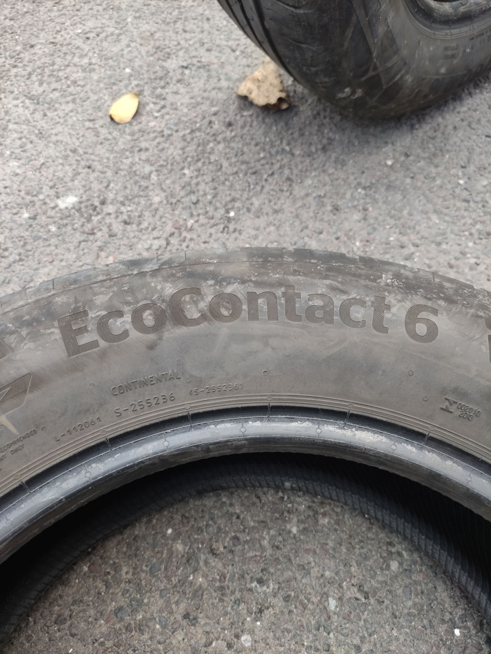 continental-eco-contact-6