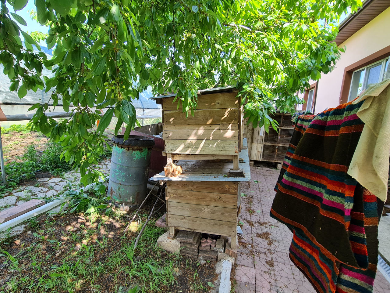 Cusca pentru iepuri.