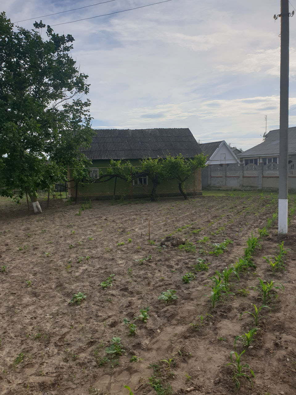 Casa bătrâneasca in s.Tantareni.Situata in centru satului