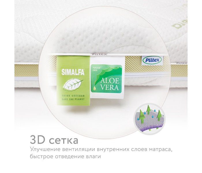 Pătuc Veres şi saltea Plitex aloe vera 12 cm