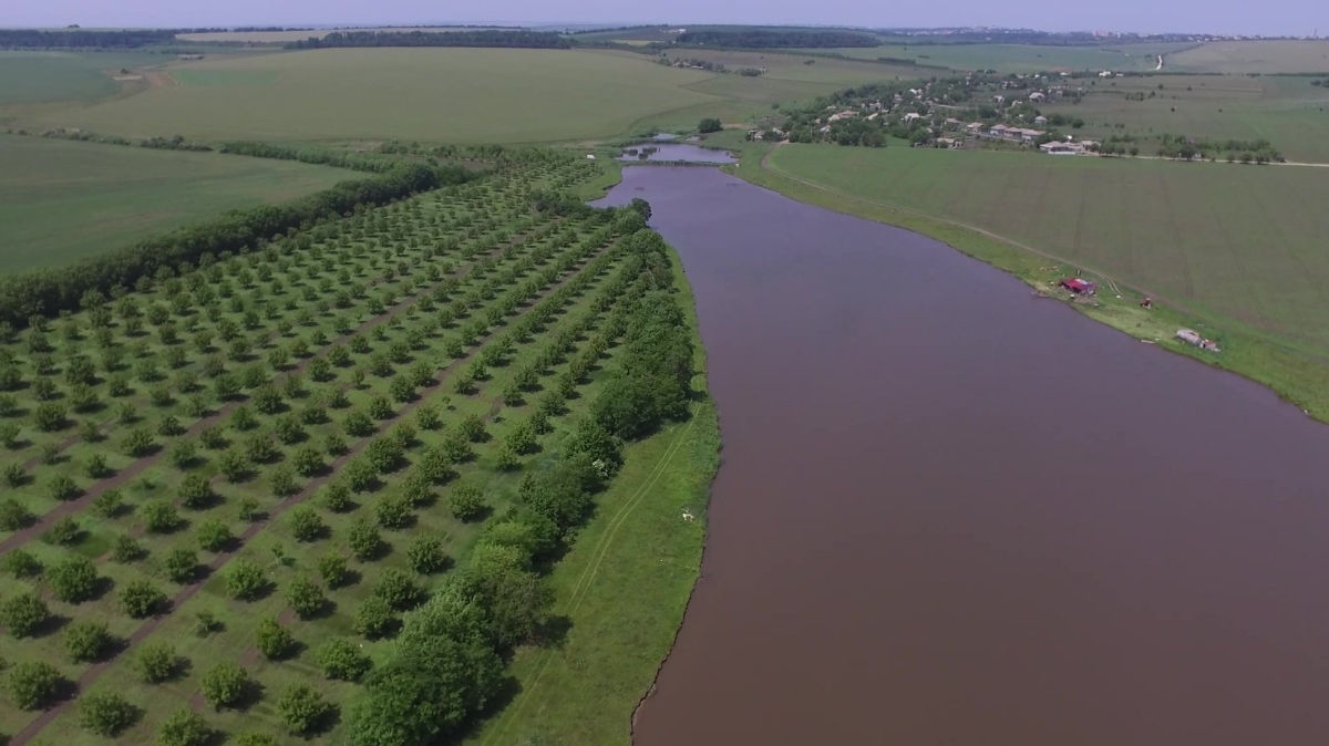 Vind 9ha de livada de nuc +10ha de iaz