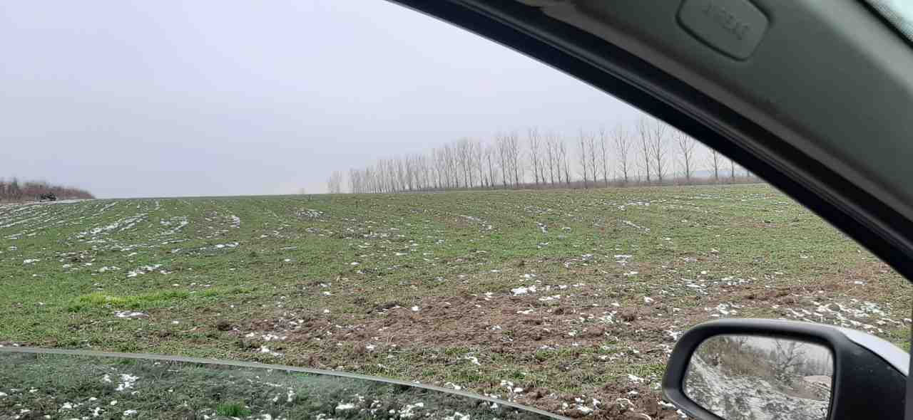 Vinzare Teren Agricol